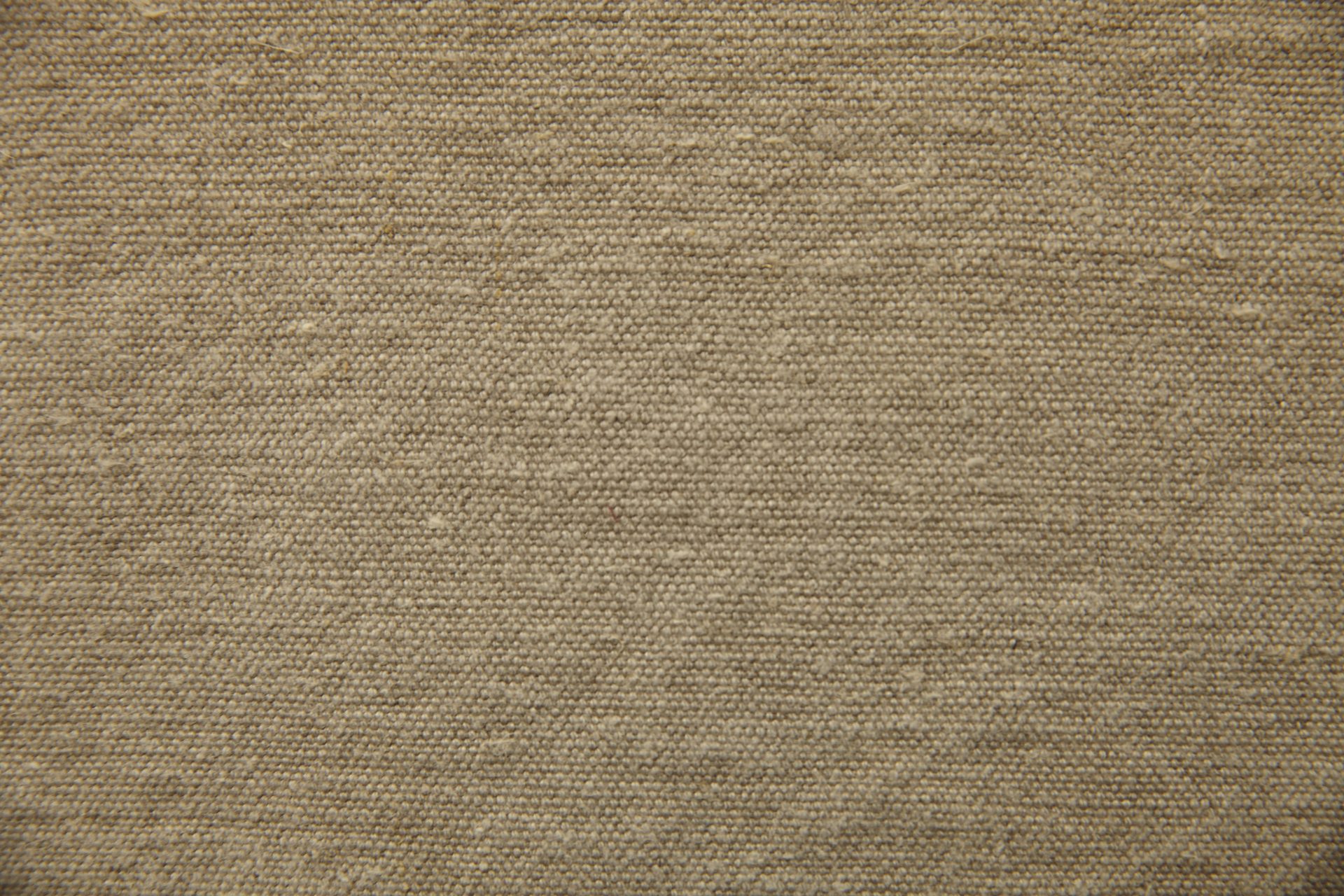 Linoteca Lino